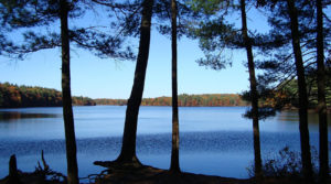 Thompson Lake Marina - Offering wide range access to Thompson Lake ...